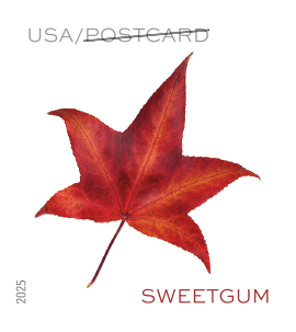 Vibrant Leaves — Stamps Forever