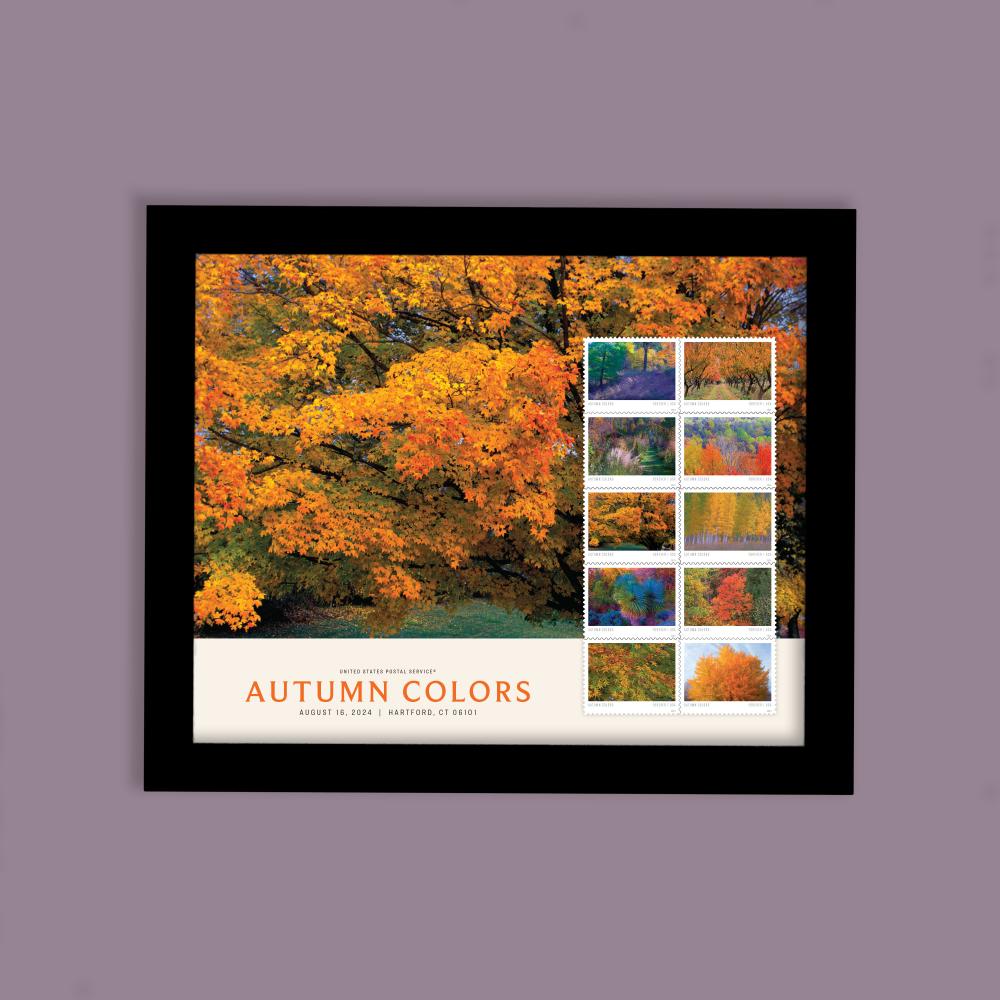 Autumn Colors Framed Stamp — Stamps Forever