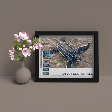 Protect Sea Turtles Framed Stamps — Leatherback Turtle — Stamps Forever
