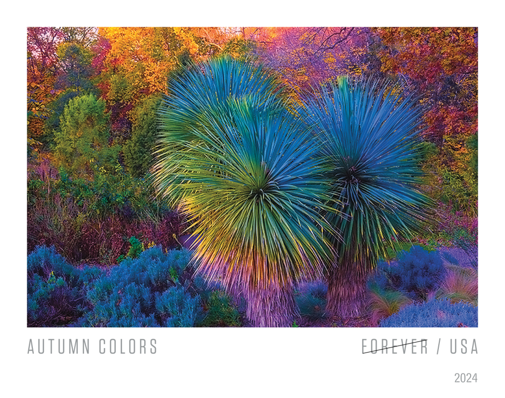 Autumn Colors — Stamps Forever