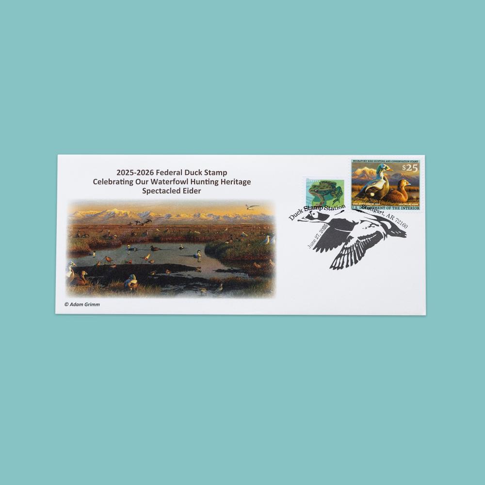 Spectacled Eider Heritage Cachet — Stamps Forever