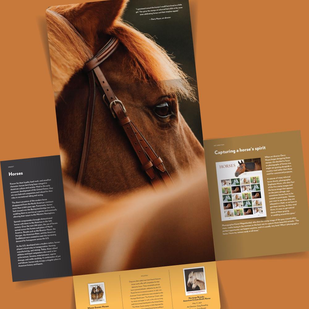 Horses Stamp Portfolio — Stamps Forever
