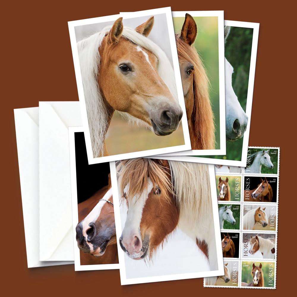 Horses Notecards (set of 10) — Stamps Forever