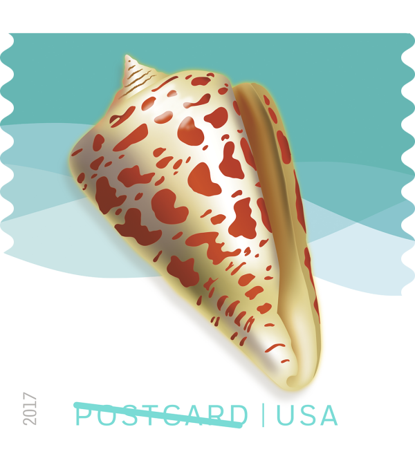 Seashells — Stamps Forever