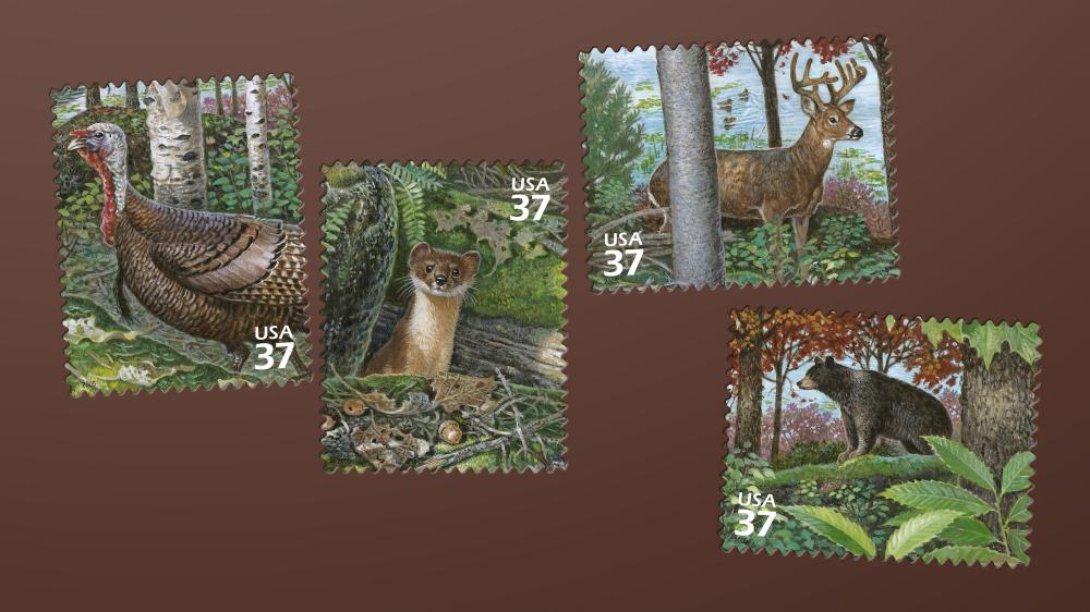 Northeast Deciduous Forest — Stamps Forever