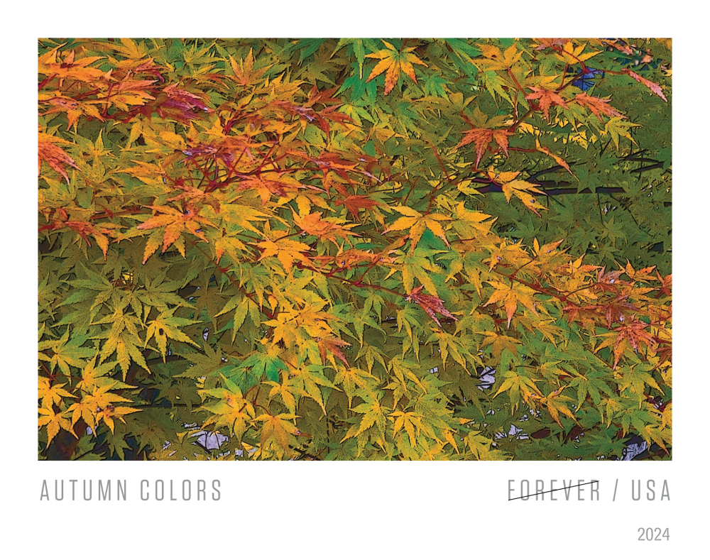 Autumn Colors — Stamps Forever