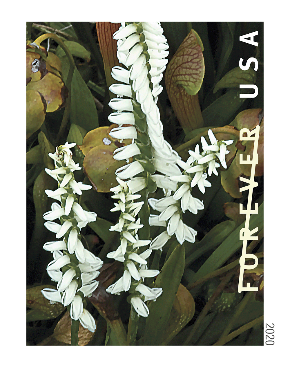 2020 Stamps — Stamps Forever