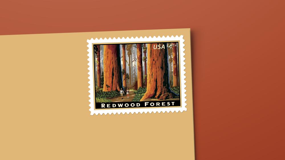 Redwood Forest — Stamps Forever