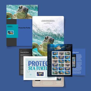 Protect Sea Turtles Stamp Portfolio — Stamps Forever