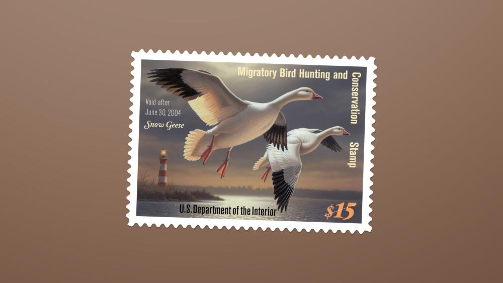 Snow Geese — Stamps Forever