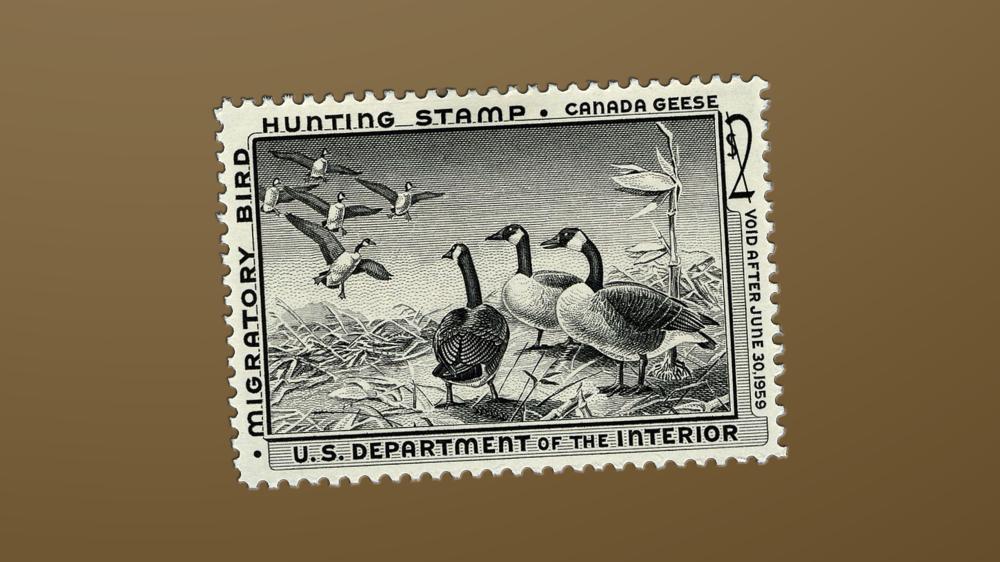 Canada Geese — Stamps Forever
