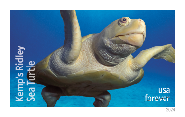 Protect Sea Turtles — Stamps Forever