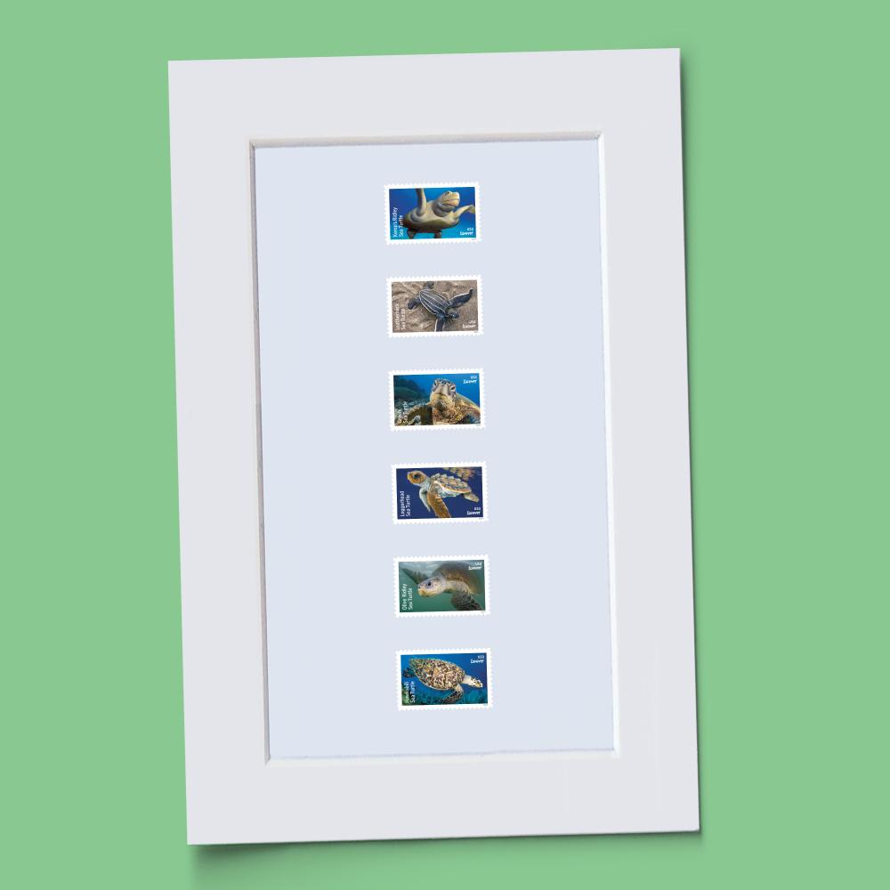 Protect Sea Turtles Matted Stamps (strip of 6) — Stamps Forever