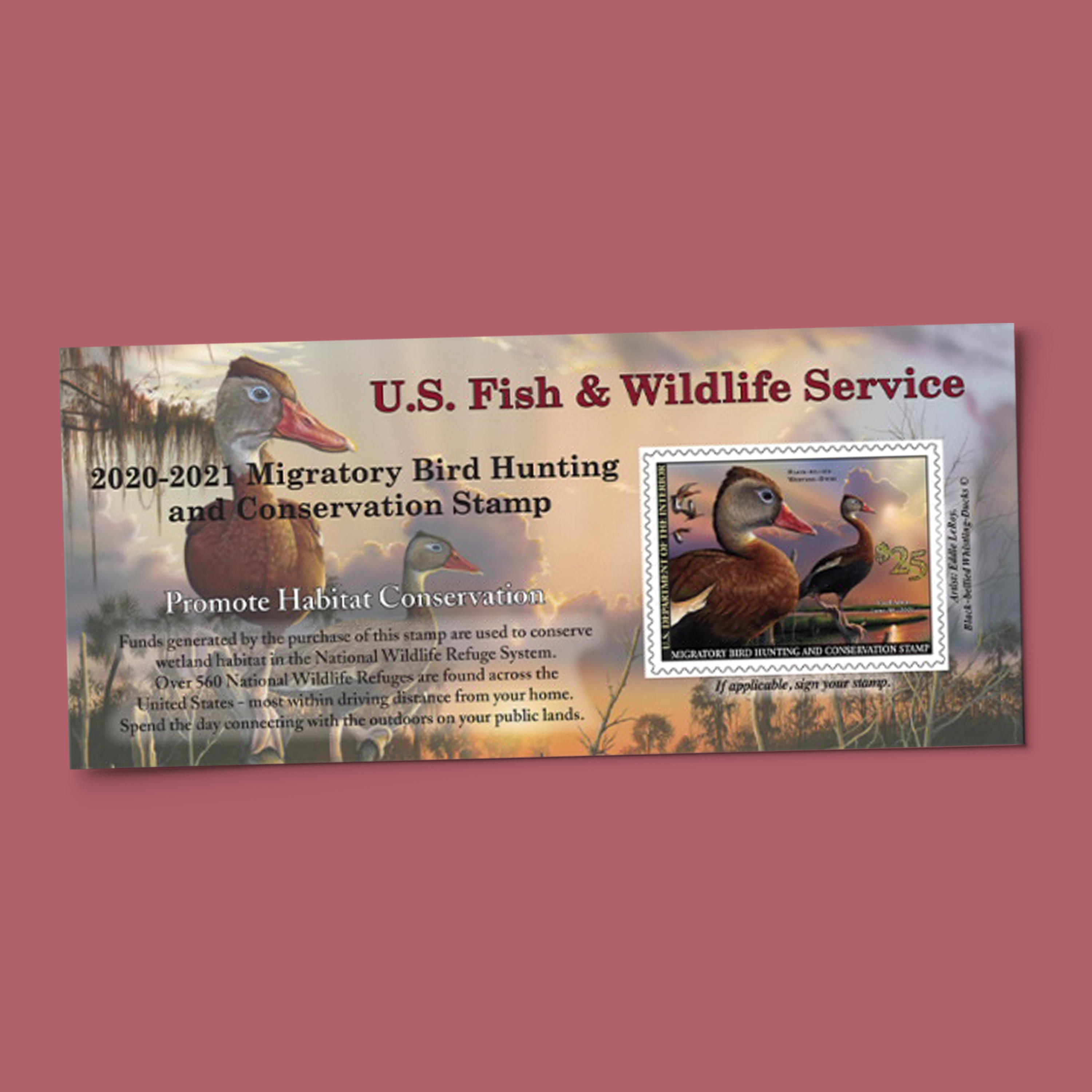 Black-Bellied Whistling-Ducks Duck Stamp (2020-2021) Souvenir Sheet ...