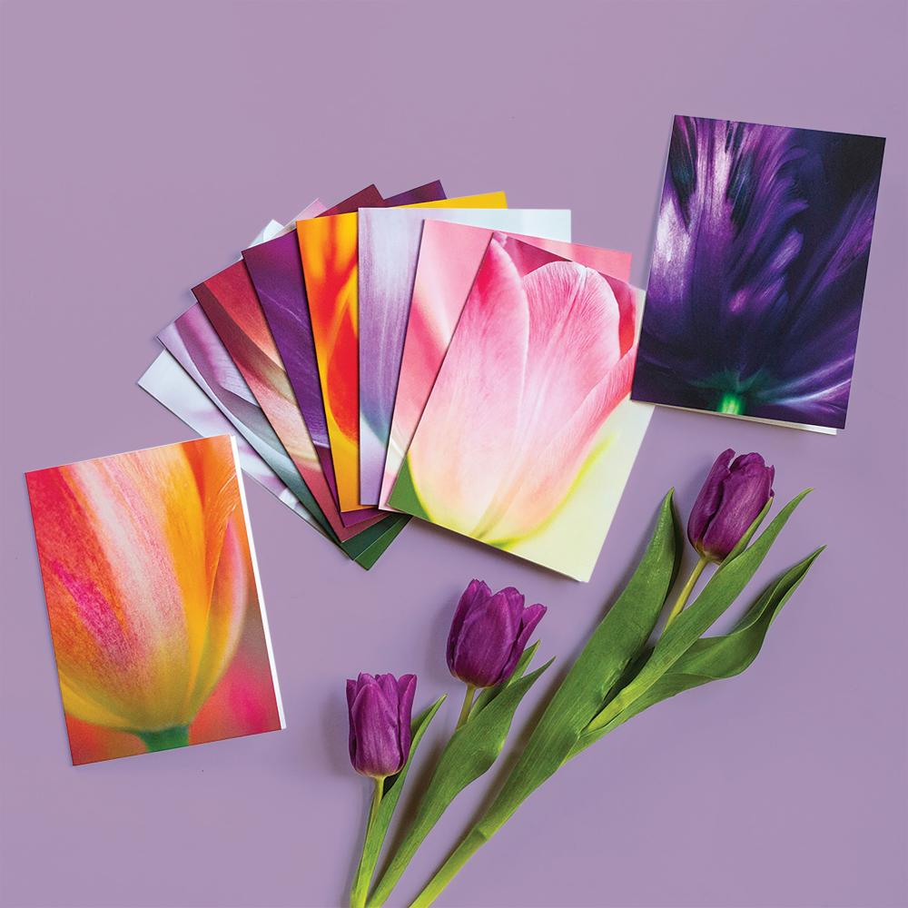 Tulip Blossoms Notecards (set of 10) — Stamps Forever