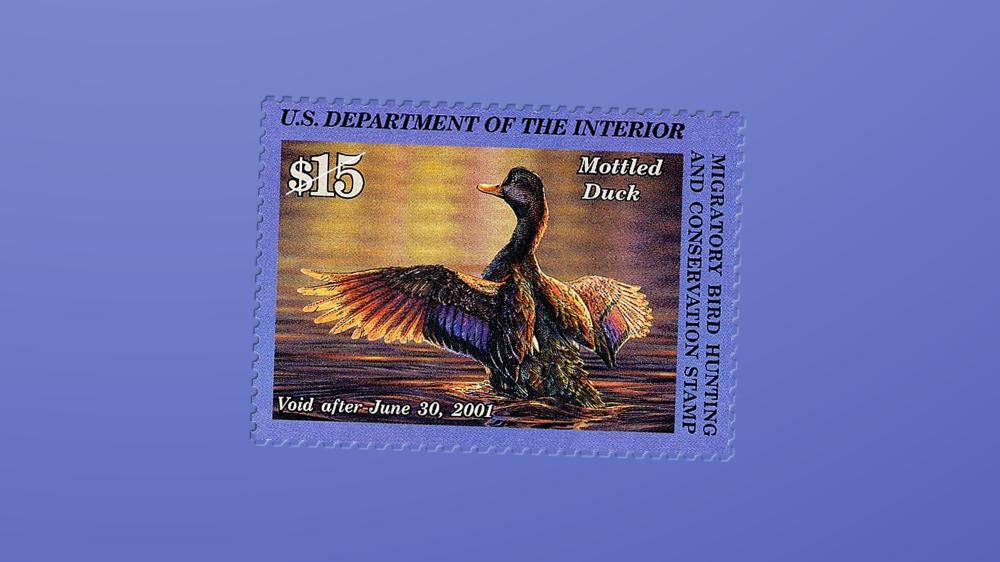 Mottled Duck — Stamps Forever