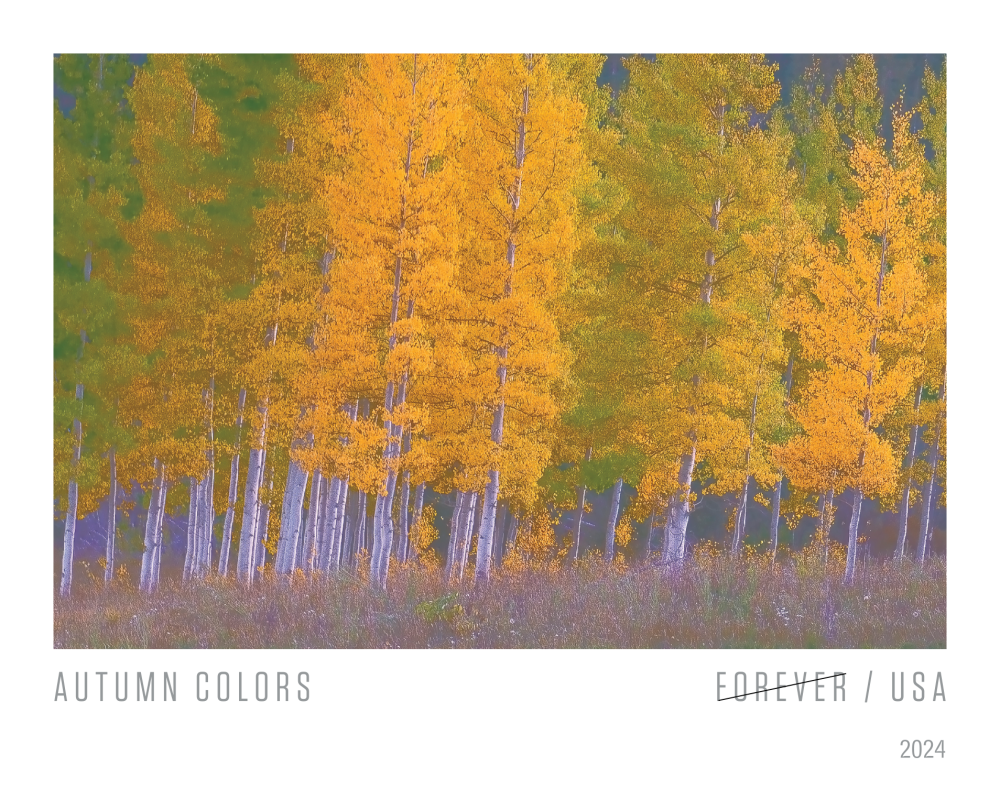 Autumn Colors — Stamps Forever