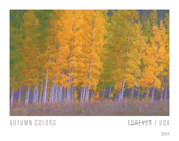 Autumn Colors — Stamps Forever