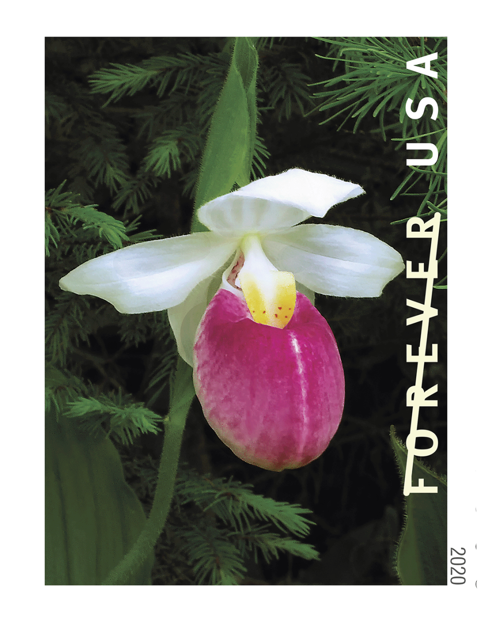 2020 Stamps — Stamps Forever