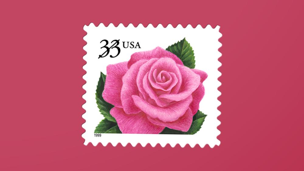 Coral Pink Rose — Stamps Forever