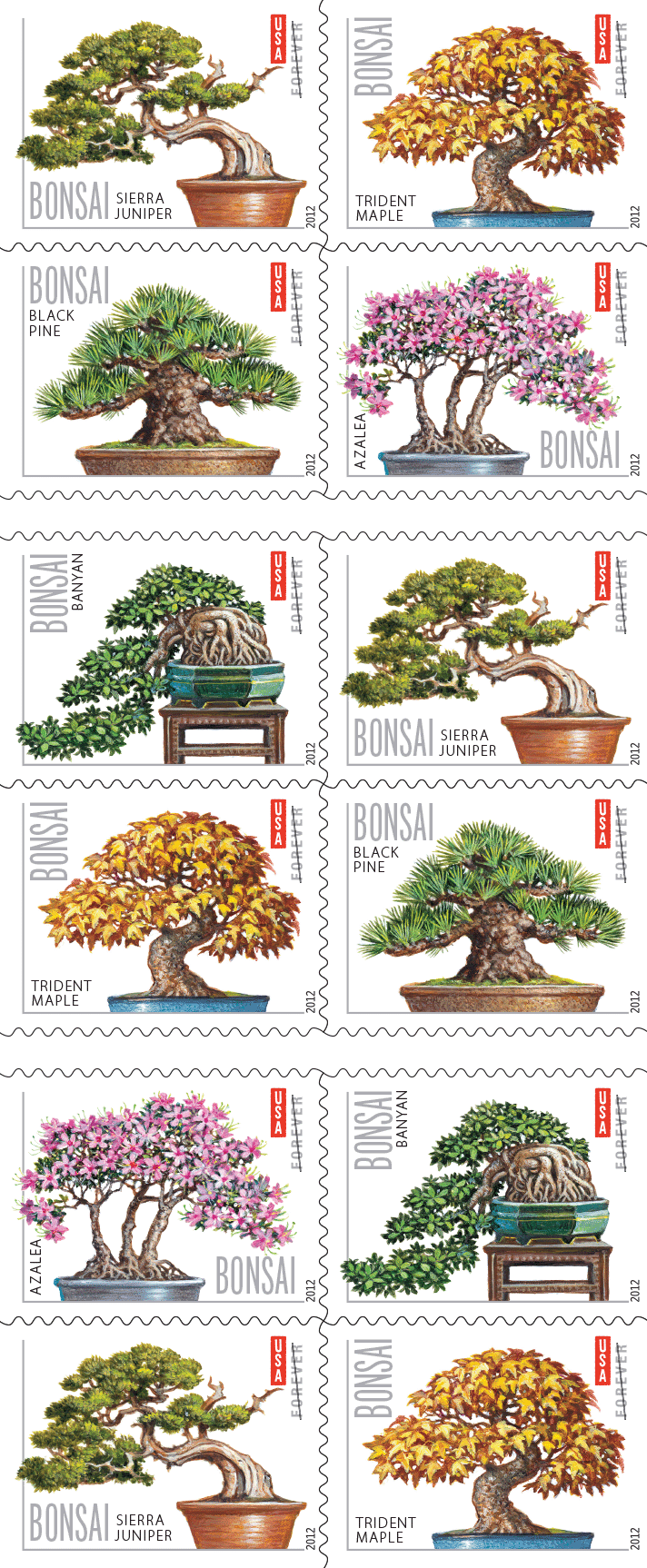 Bonsai — Stamps Forever