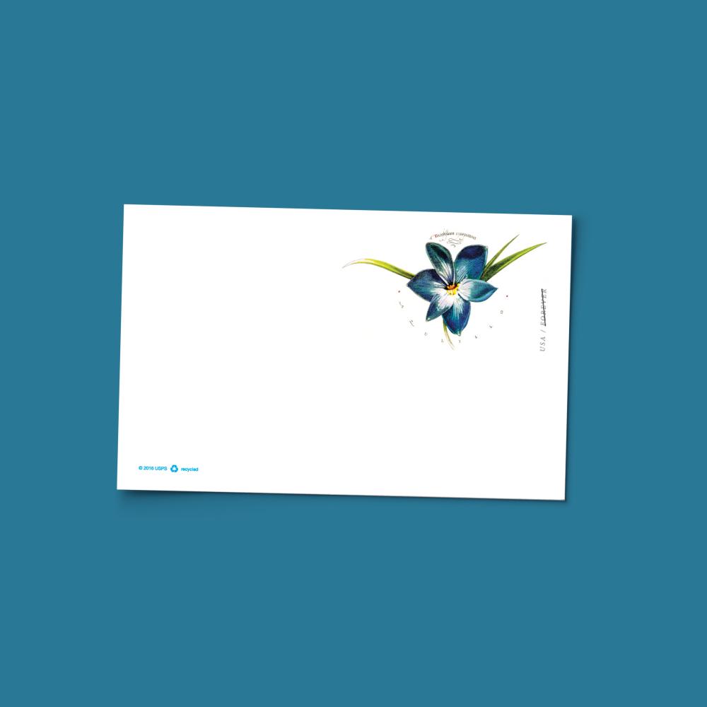 Azulillo Flower Stamped Card (set of 10) — Stamps Forever