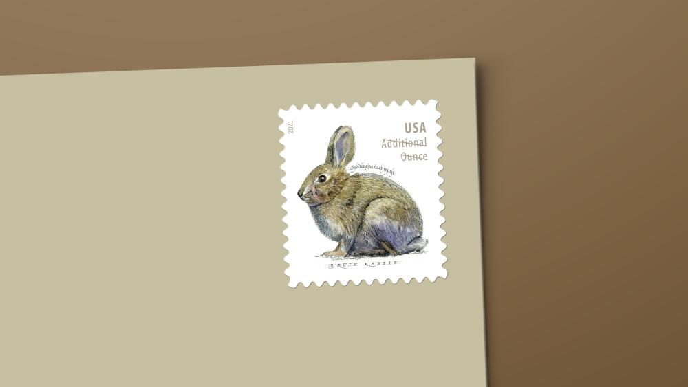 Brush Rabbit — Stamps Forever