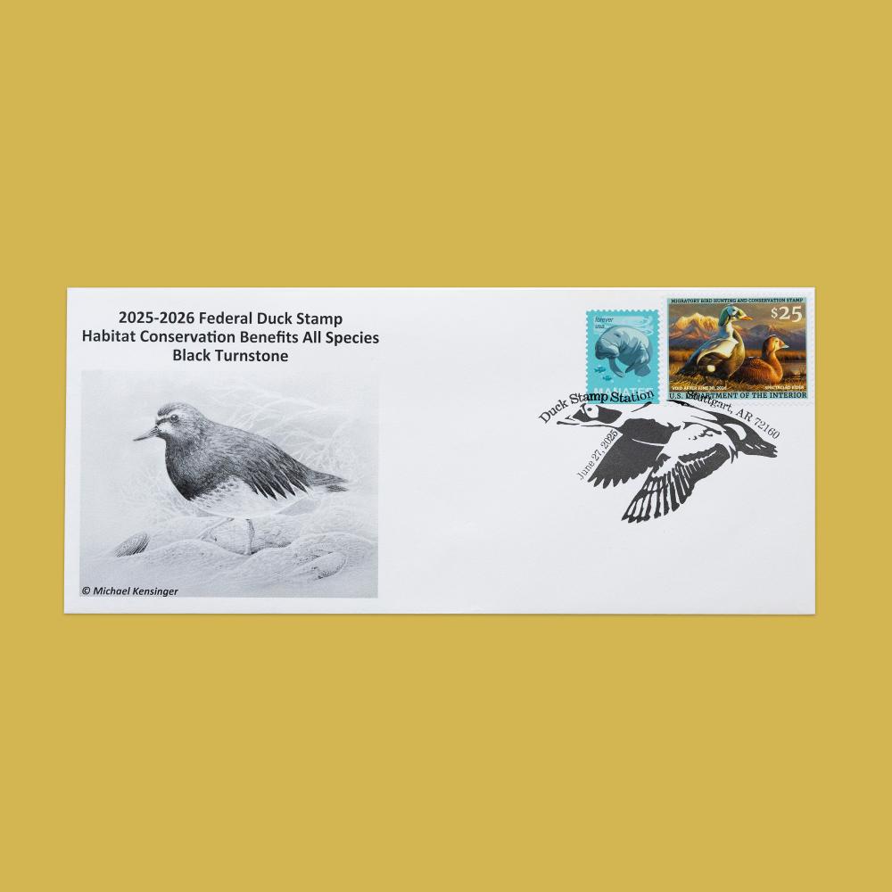 Spectacled Eider Habitat Cachet — Stamps Forever