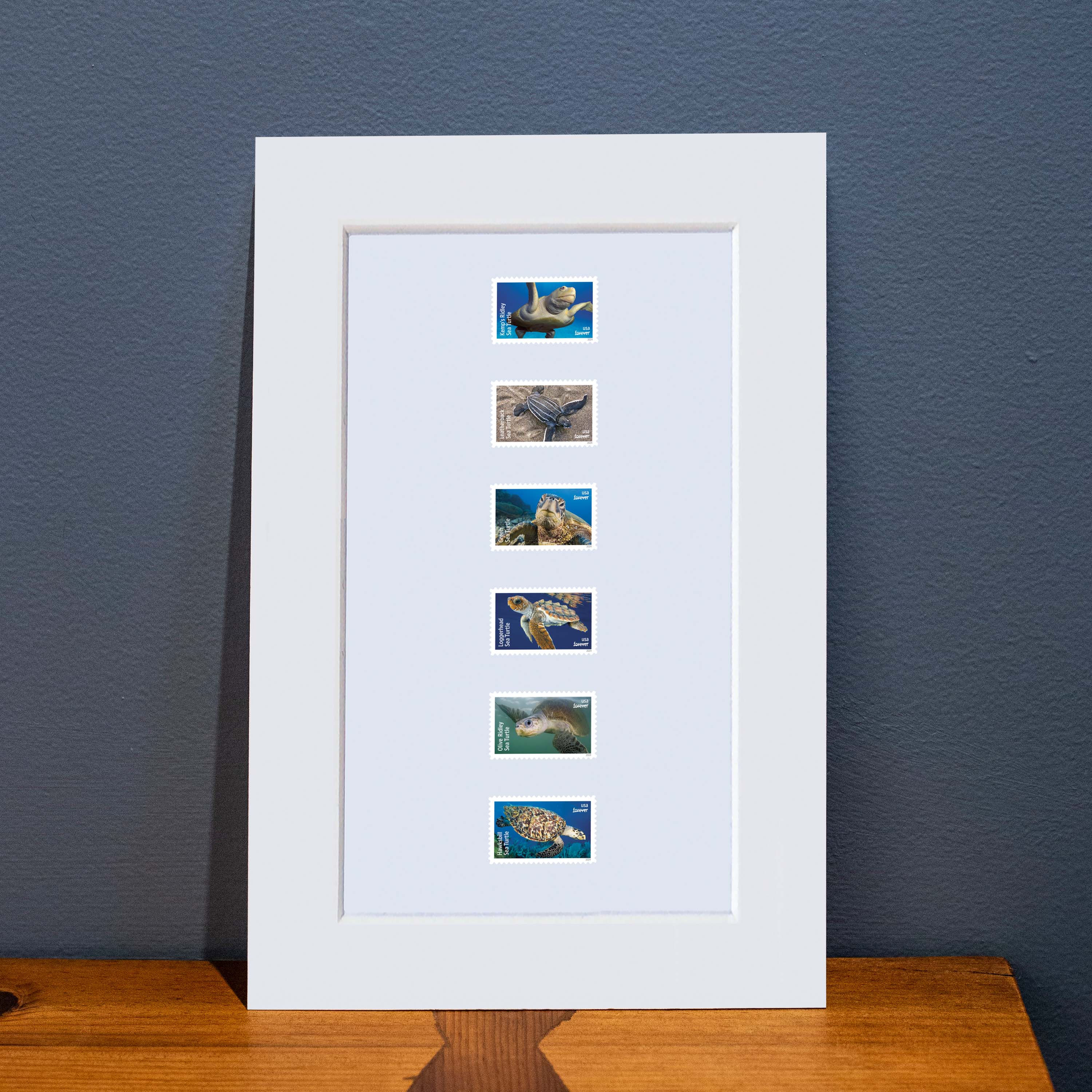 Protect Sea Turtles Matted Stamps (strip of 6) — Stamps Forever