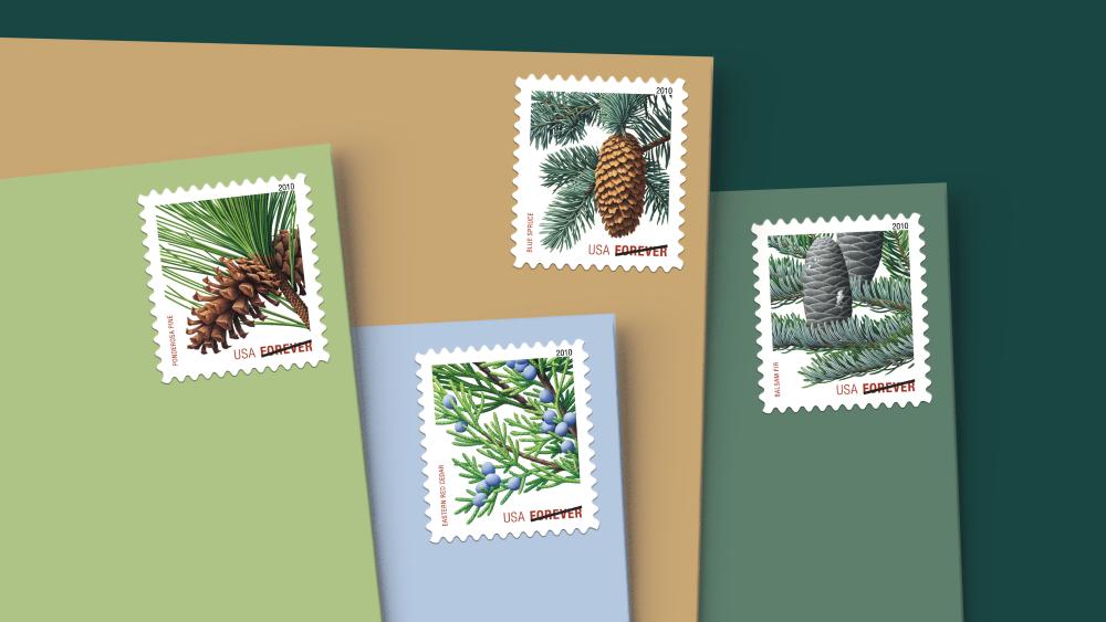 Evergreens — Stamps Forever