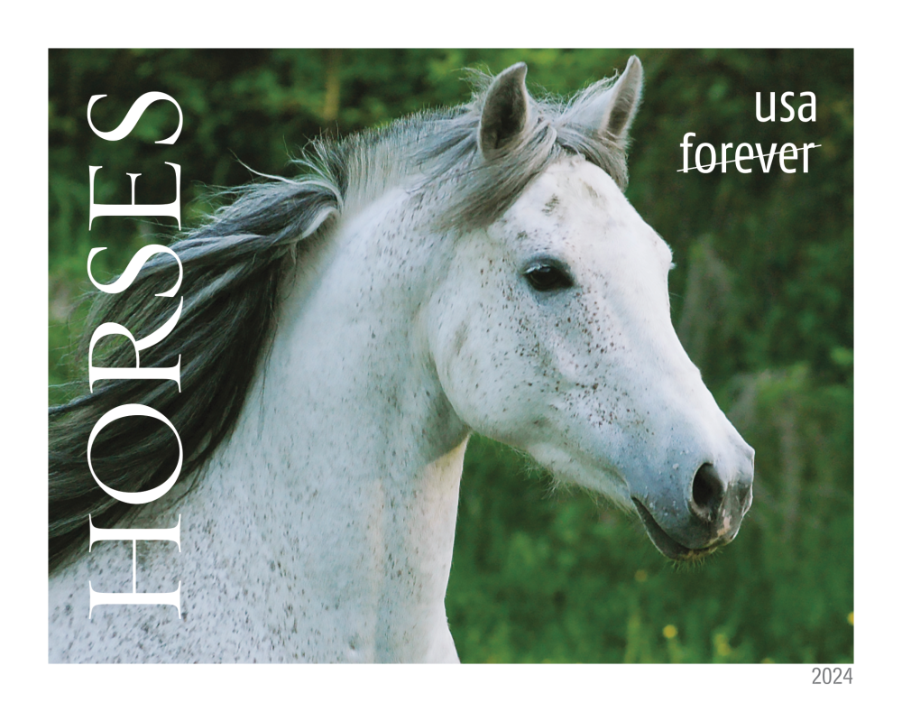 Horses — Stamps Forever