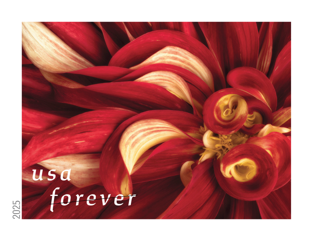 Dahlias — Stamps Forever
