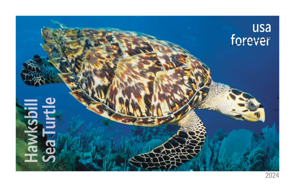 Protect Sea Turtles — Stamps Forever