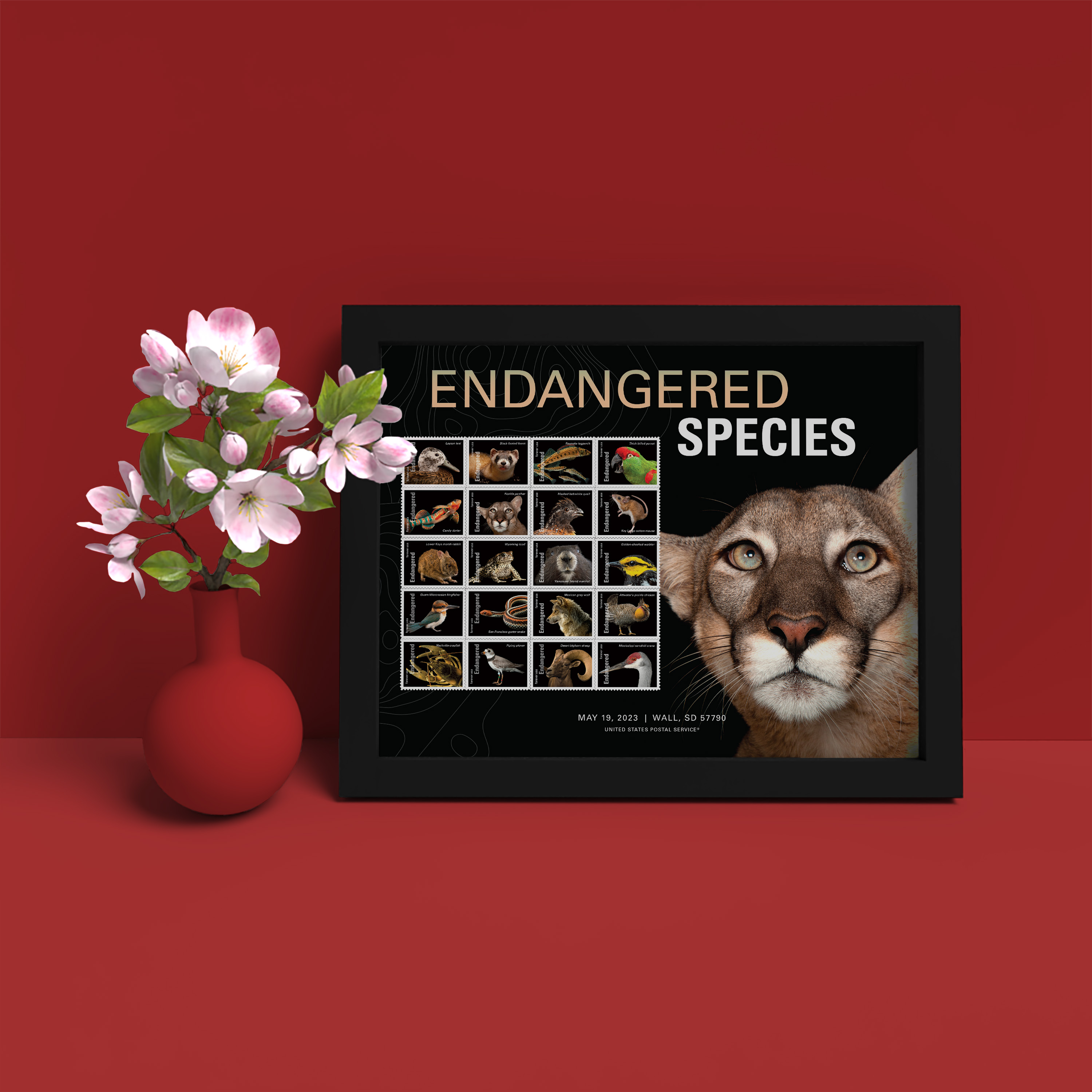 Endangered Species Framed Stamps — Florida Panther — Stamps Forever