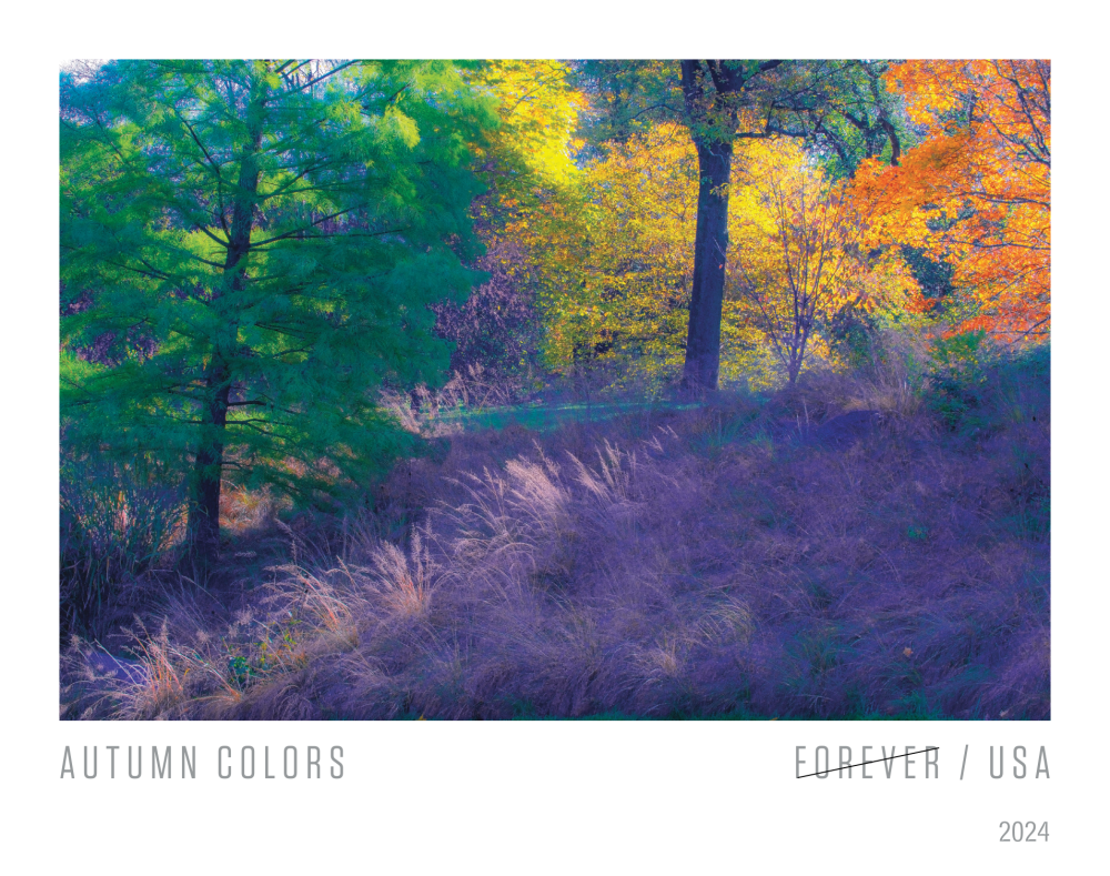 Autumn Colors — Stamps Forever