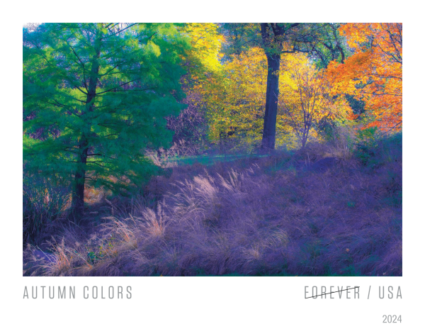 Autumn Colors — Stamps Forever