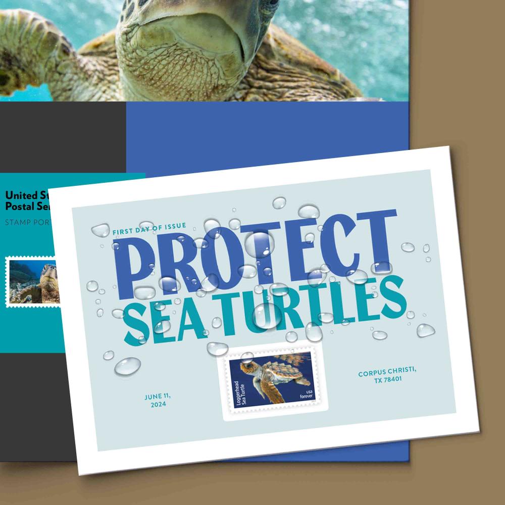 Protect Sea Turtles Stamp Portfolio — Stamps Forever