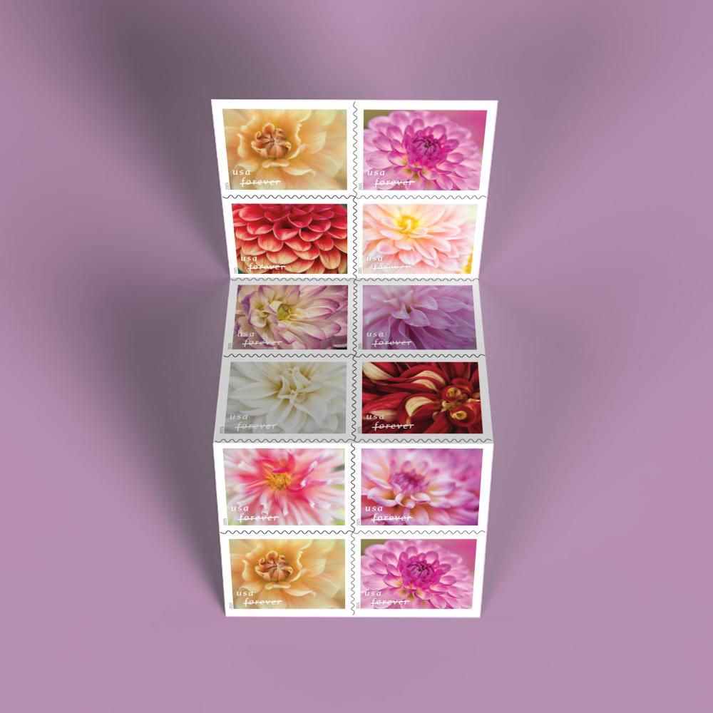 Dahlias Booklet of 20 (2-sided) — Stamps Forever