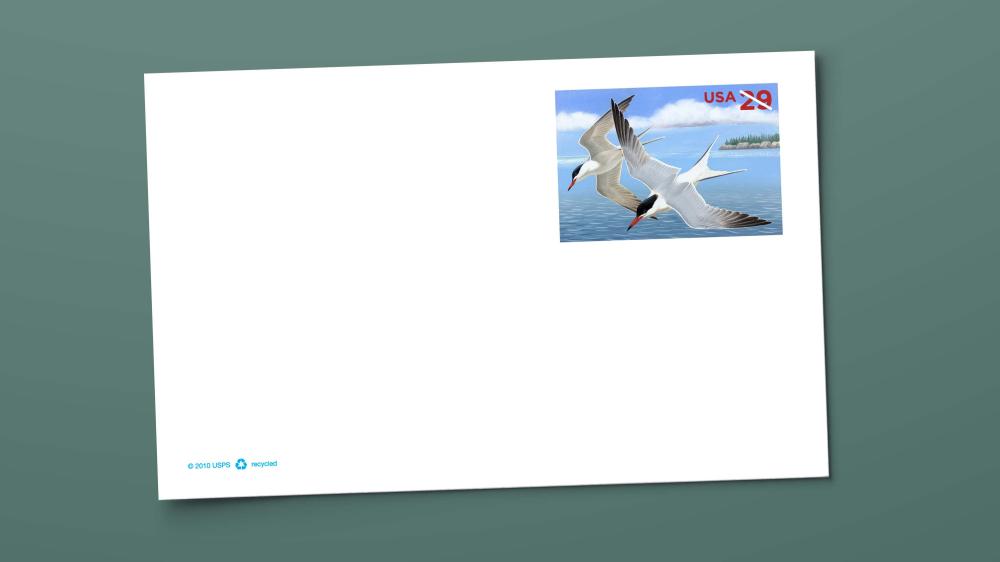 Common Terns Stamped Card — Stamps Forever