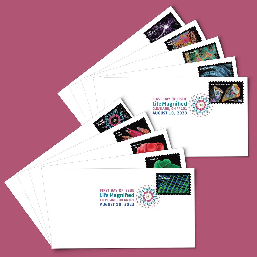 Life Magnified Digital Color Postmark First Day Covers (set of 20 ...