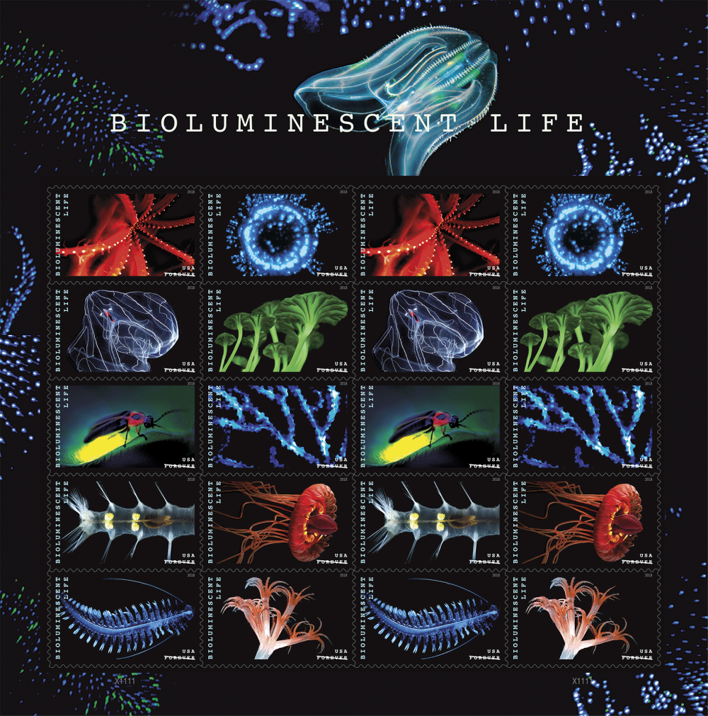 Bioluminescent Life — Stamps Forever