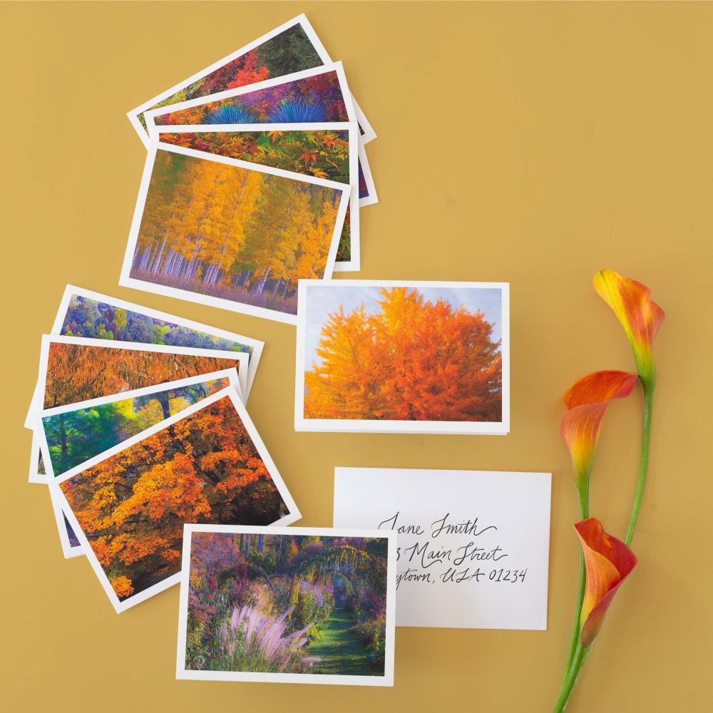 Autumn Colors Notecards (set of 10) — Stamps Forever