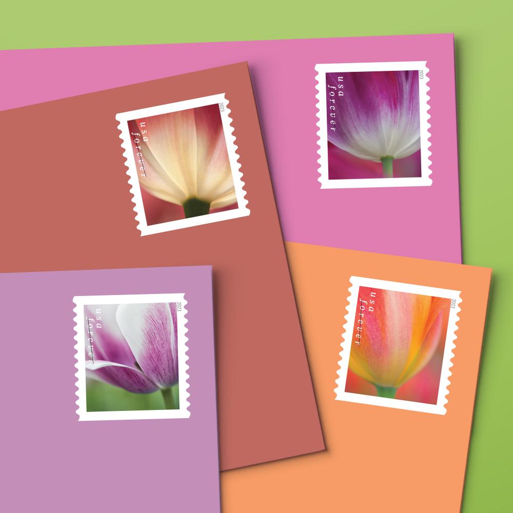 Tulip Blossoms Strip of 25 (Coil of 10,000) — Stamps Forever