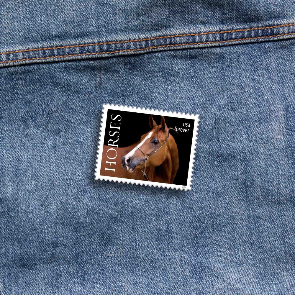 Horses Stamp Pin with Cancellation Card — Stamps Forever