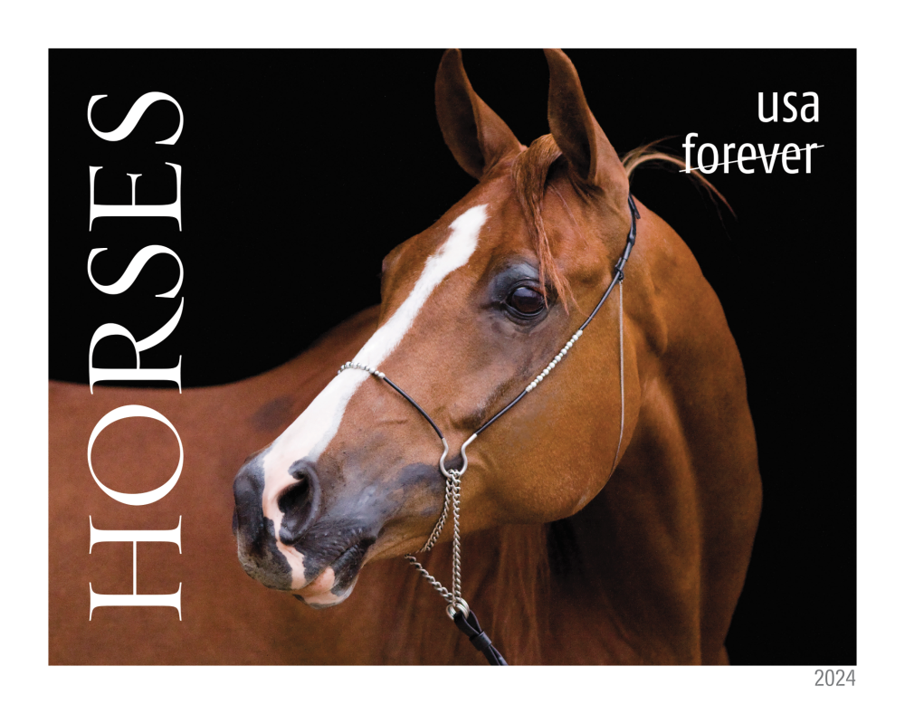 Horses — Stamps Forever
