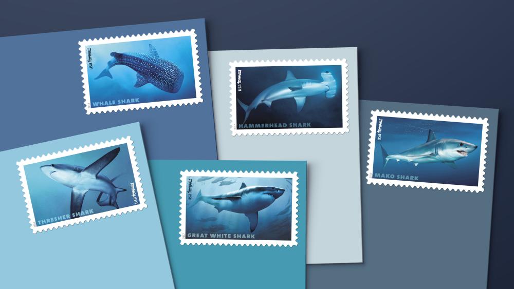 Sharks — Stamps Forever