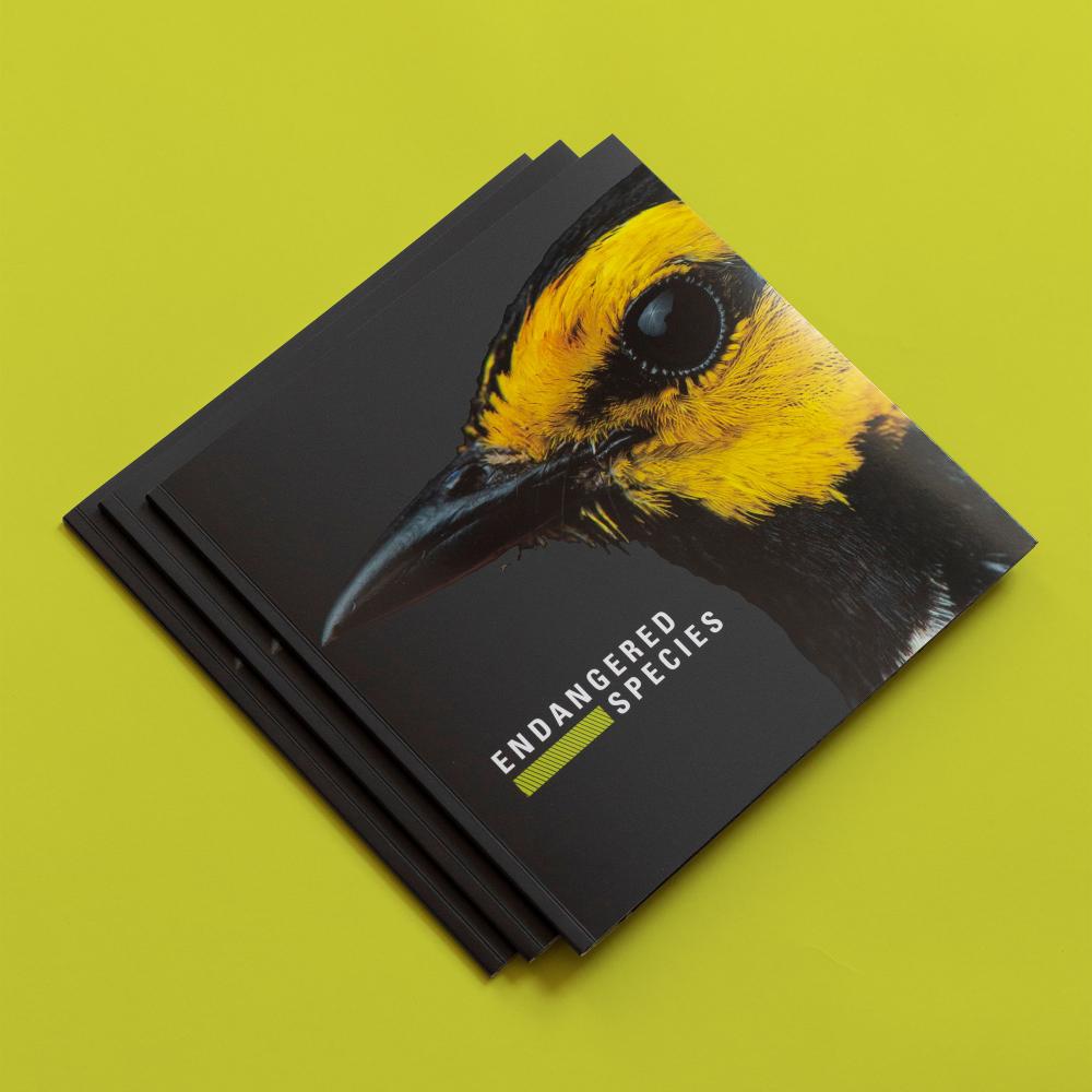 Endangered Species Limited Edition Collector's Set — Stamps Forever
