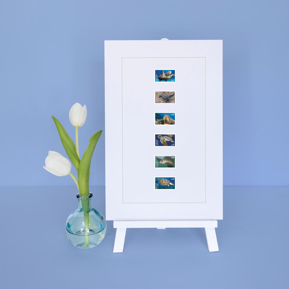 Protect Sea Turtles Matted Stamps (strip of 6) — Stamps Forever