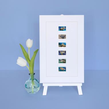 Protect Sea Turtles Matted Stamps (strip of 6) — Stamps Forever