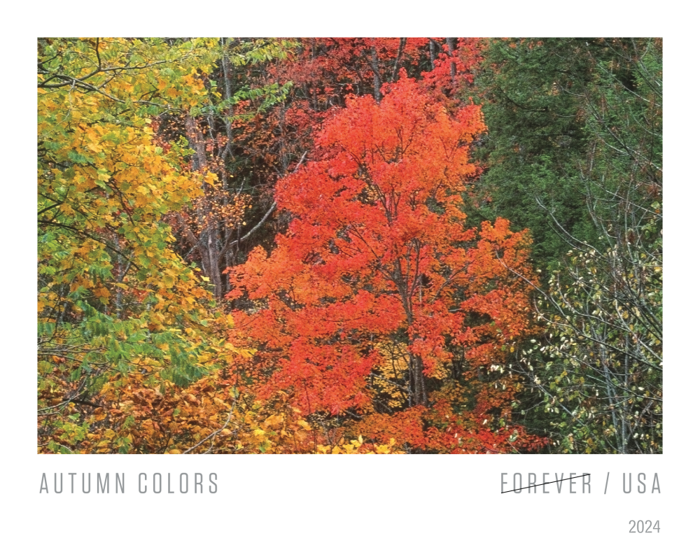 Autumn Colors — Stamps Forever